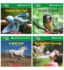 Nonfiction Phonics Readers Set 3: R-Controlled, Variant Vowels & More ...