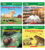 Nonfiction Phonics Readers Set 3: R-Controlled, Variant Vowels & More ...