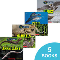 Best Books for PreK & Kindergarten | Scholastic Book Clubs