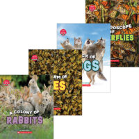 Children's Nonfiction Books | Scholastic Book Clubs