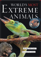 STEAM Books | Scholastic Book Clubs