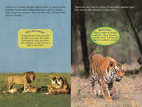 Lion Vs Tiger Book