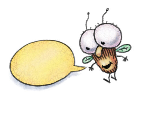Fly Guy Clipart