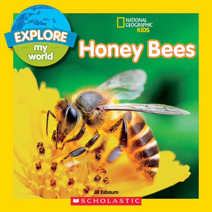 product-detail-page