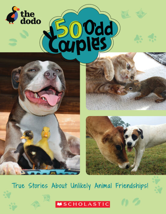 The Dodo: 50 Odd Couples by Gabe Polt - Paperback Book - The Parent Store