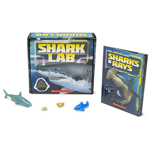 sharkcano toy
