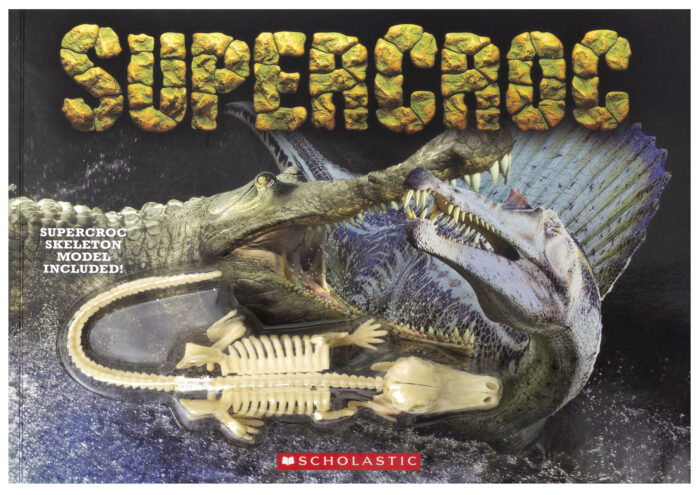 Crocodile Skeleton Labeled