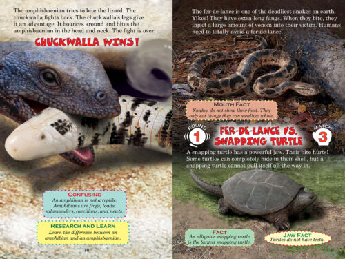 ultimate lizard rumble