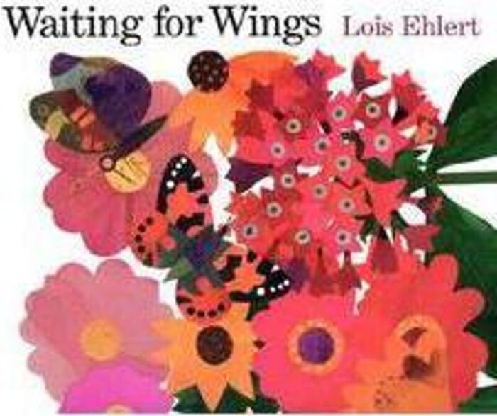 Waiting For Wings By Lois Ehlert