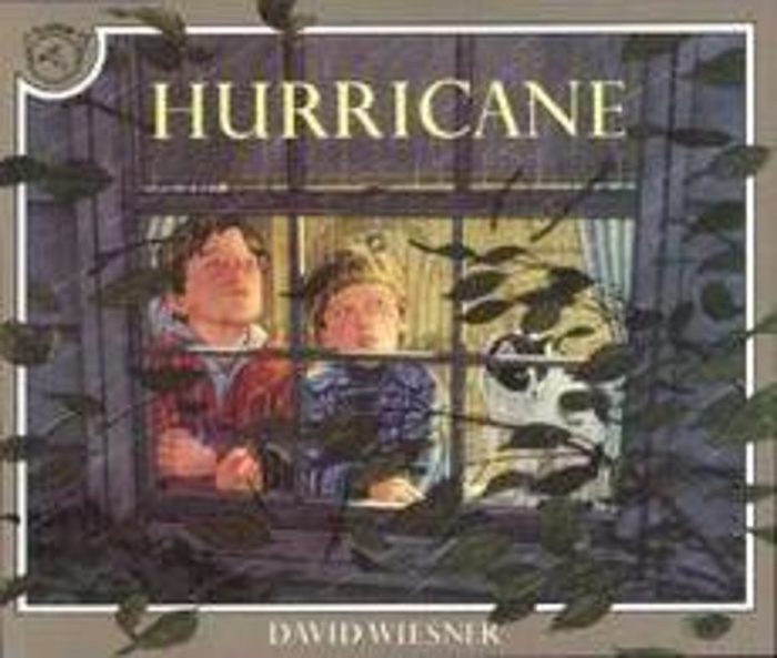 Hurricane by David Wiesner | Scholastic