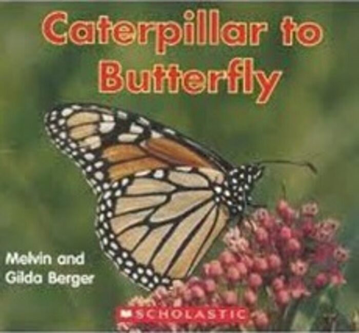 Scholastic Time-to-Discover Readers: Caterpillar to Butterfly by Melvin ...