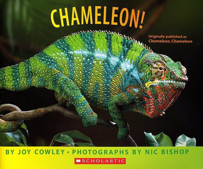 Chameleon! by Joy Cowley