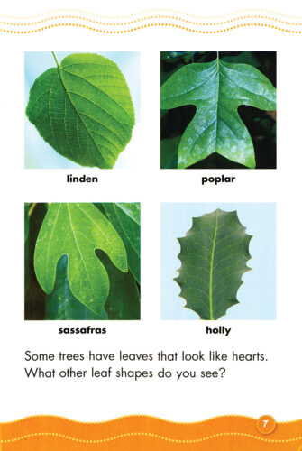 leaves science