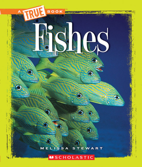 A True Book™-Animals: Fishes by Melissa Stewart