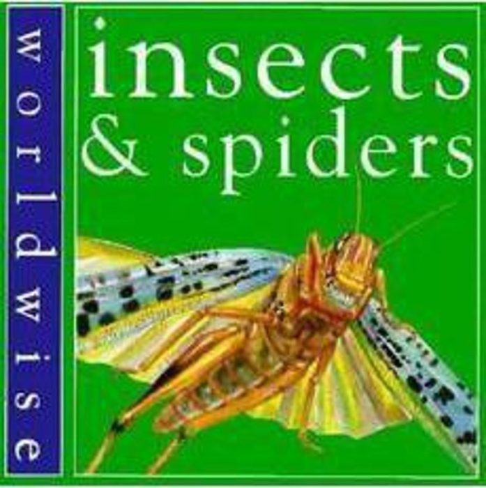 Insects And Spiders Book