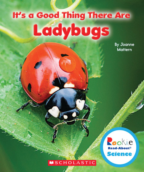 It's a Good Thing There Are Ladybugs by Joanne Mattern | Scholastic