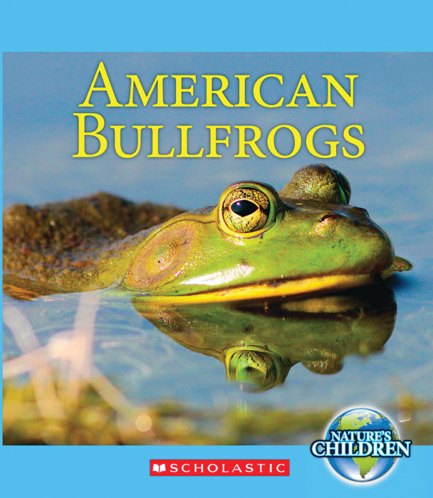 American Bullfrogs by Katie Marsico | Scholastic