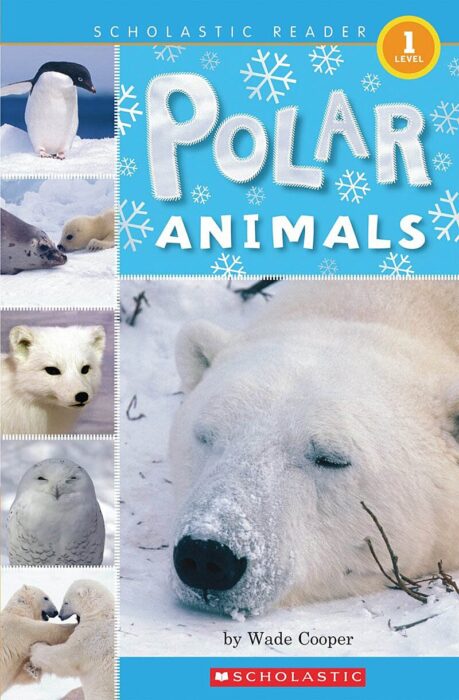 Polar Animals by Wade Cooper | Scholastic
