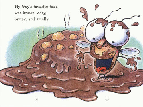 hi fly guy reading level