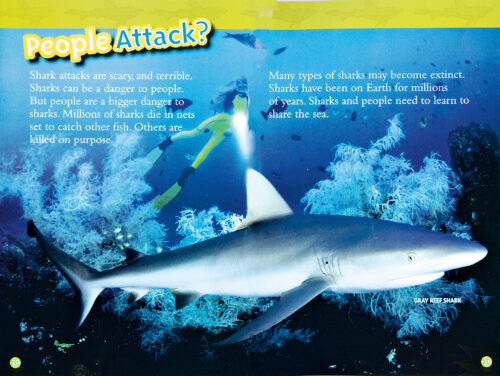 Shark Photos National Geographic