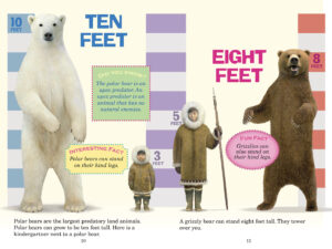 Grizzly Bear Vs Polar Bear Who Would Win