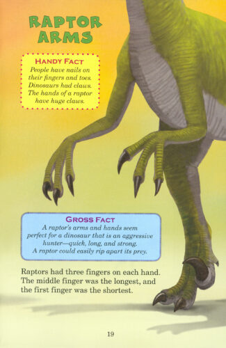 Velociraptor Contra T Rex