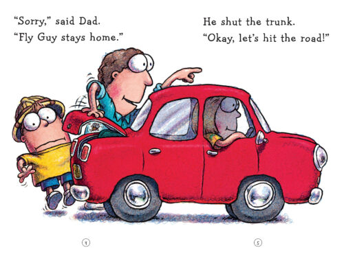 hi fly guy reading level