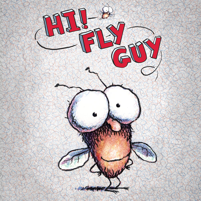 Hi! Fly Guy by Tedd Arnold