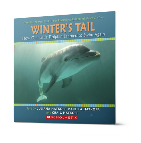 winter's tale dolphin