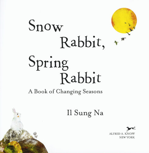 snow rabbit spring rabbit