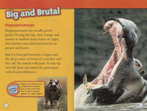 Deadliest Animals Chart