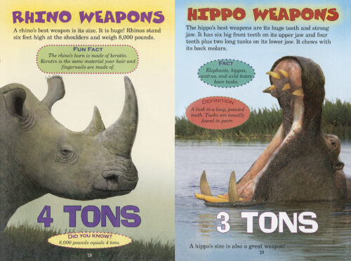 Elephant Vs Rhino Vs Hippo
