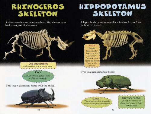 Rhino Vs Hippo Who Would Win Book