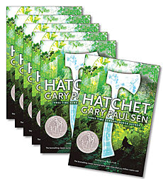 Hatchet Book Setting