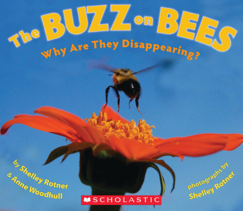 buzzing bees childminding