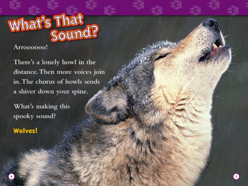 white wolves guided reading