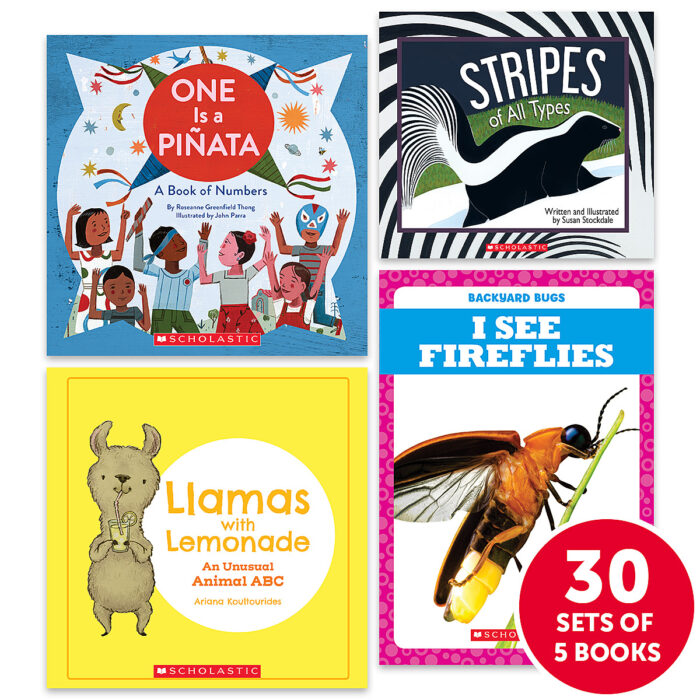 My Books Summer Grade PreK Nonfiction - Classroom Set by