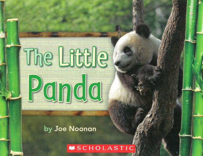 The Little Panda by Joe Noonan