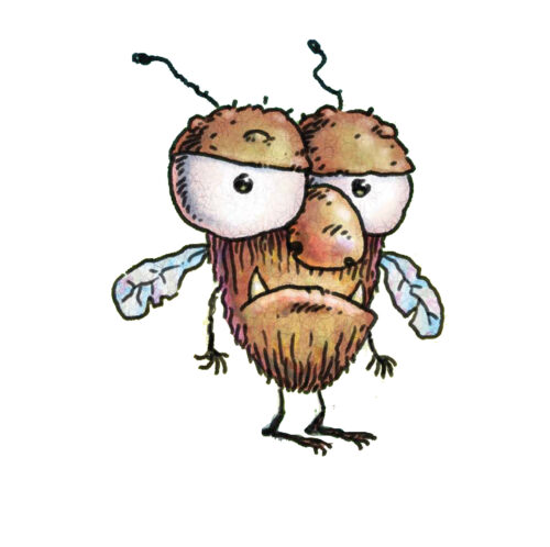 Fly Guy Clipart