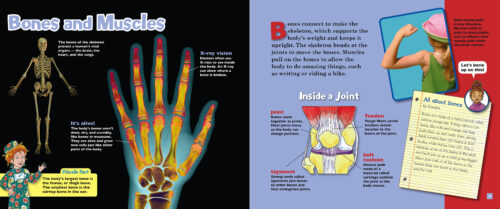 The Magic School Bus Inside The Human Body Book