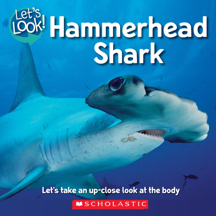 Let's Look!-Sharks: Hammerhead Shark by Chelsea Donaldson