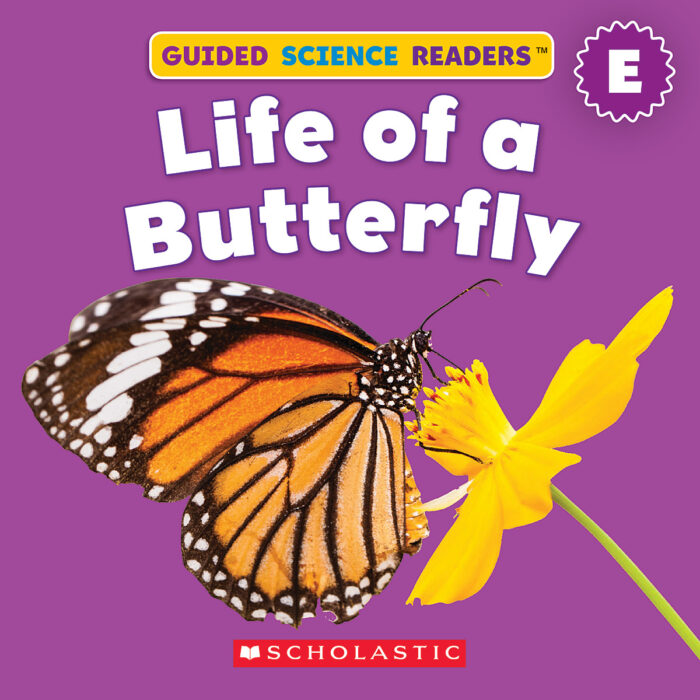 Life of a Butterfly by Liza Charlesworth | Scholastic