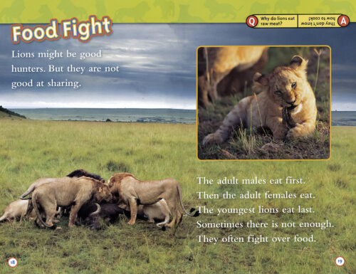 National Geographic Lions