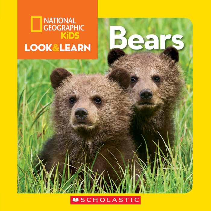 Non Fiction Bear Books