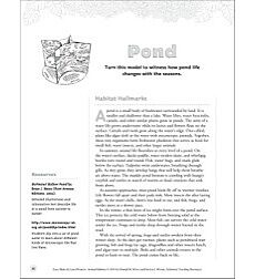 product-detail-page