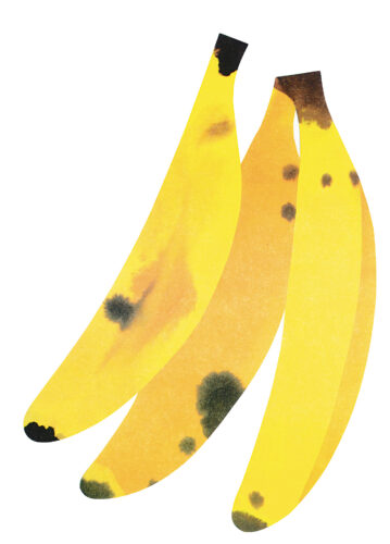 Eating The Alphabet By Lois Ehlert 1996 Children39s Board