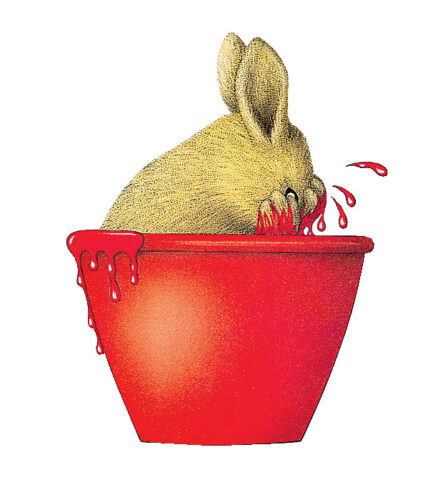 bunny rabbit coloring book