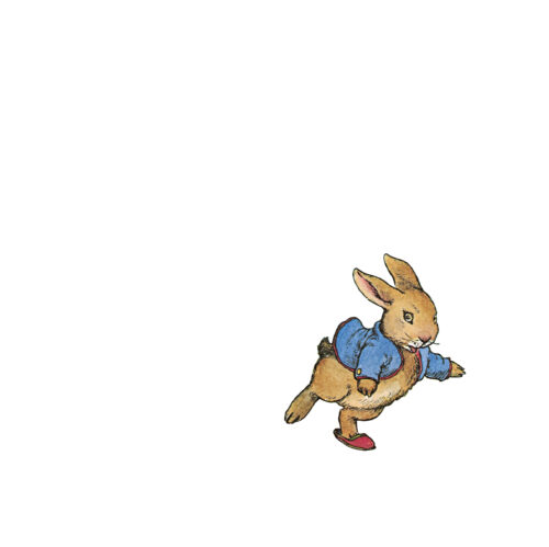 peter rabbit running wild