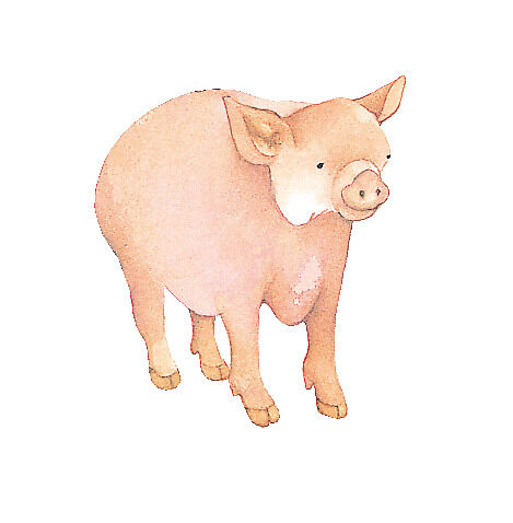 i went walking coloring pages free