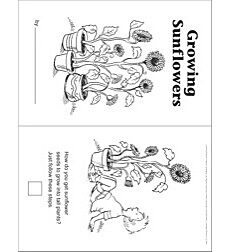 product-detail-page